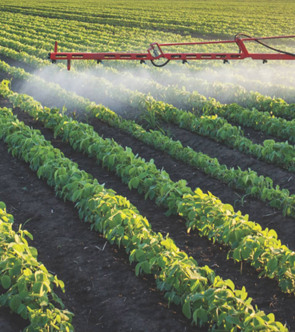 Market Access Solutionz | Helping growers access the world.